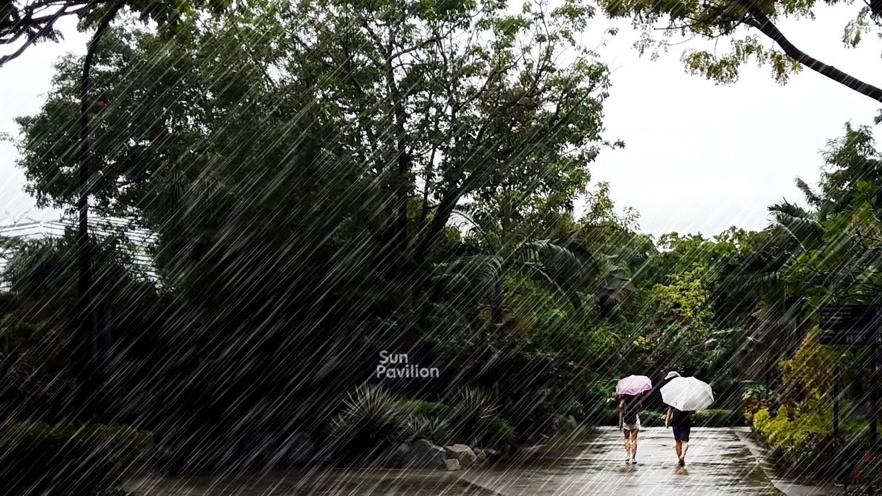 4K Heavy Rain Walk At Spectacular SUPERTREES in Gardens By The Bay ...