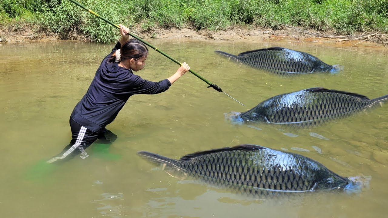 30 days to catch fish with daughter. uses trees and iron to catch fish ...
