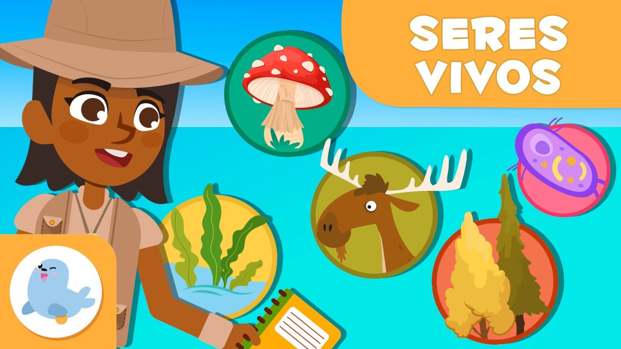 Clasificaci贸n De Los Seres Vivos 馃 馃惏 5 Reinos 馃尡 Ciencias Para Ni帽os Youtube