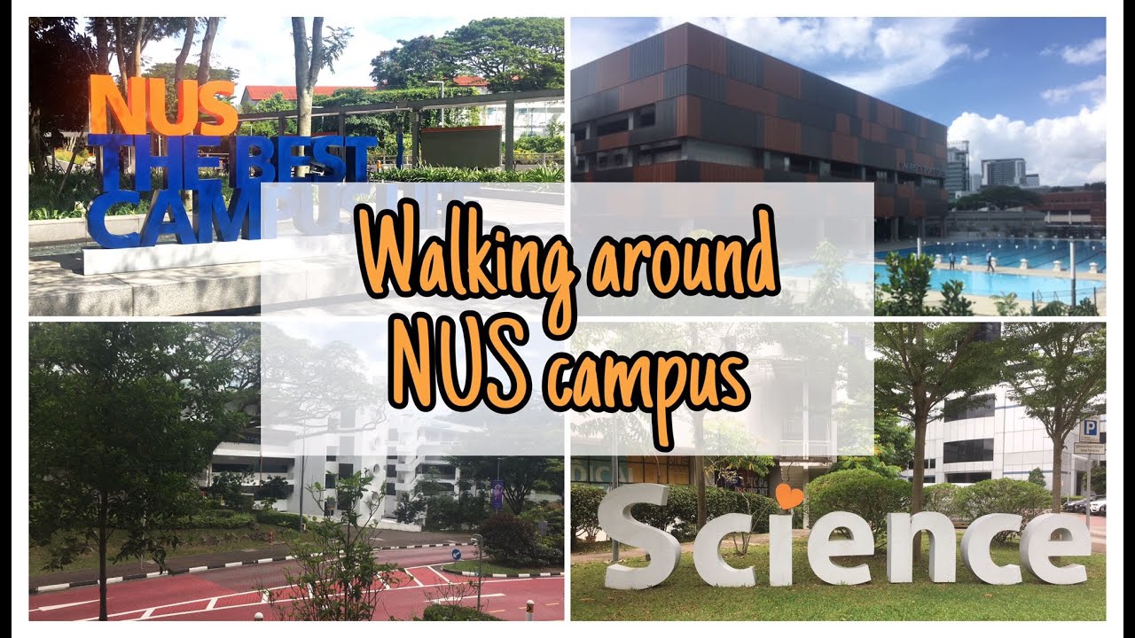 Walking around NUS - From UTown to KR MRT to PGPR | Bea Square - YouTube