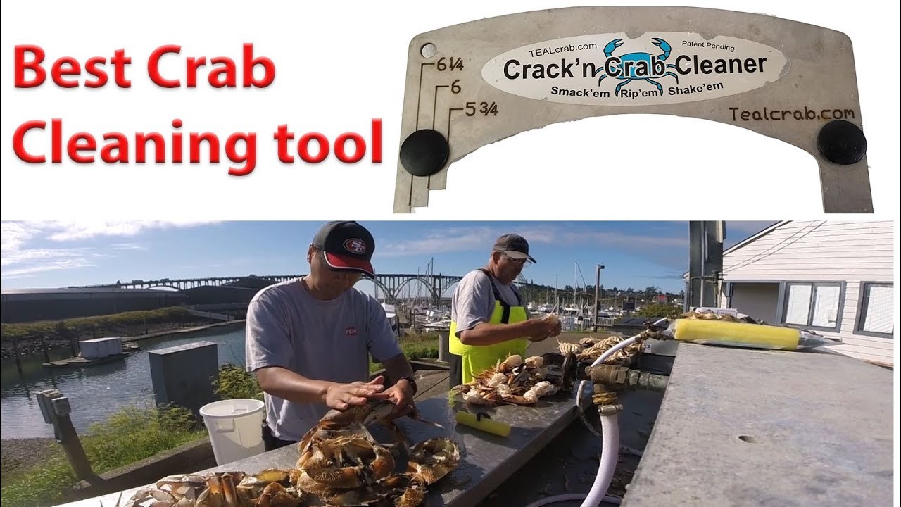 Catching giant Crab on the Oregon coast - Best tool for cleaning a crab ...