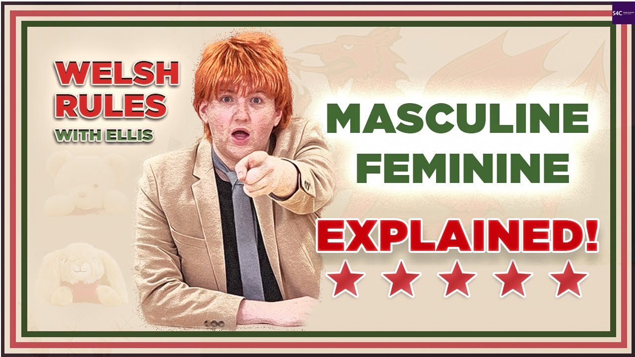 WELSH RULES WITH ELLIS | GRAMMATICAL GENDER | MASCULINE / FEMININE ...