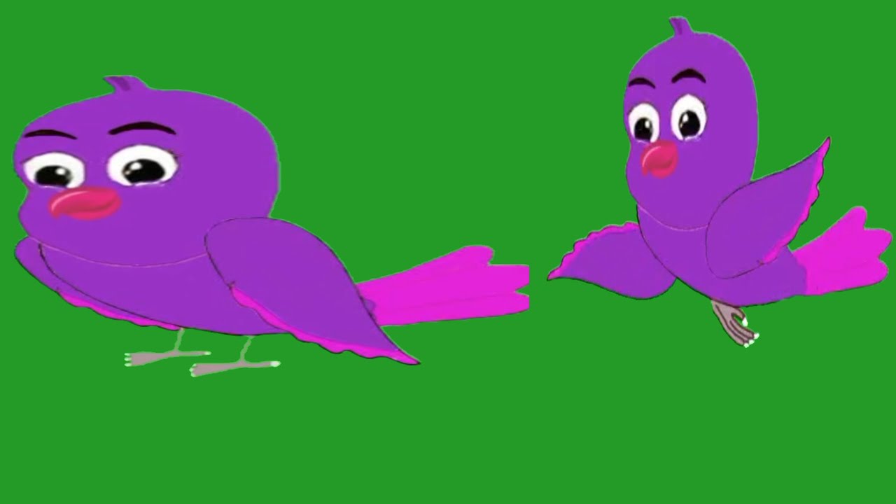 tuni chidiya character green screen |247video Copyright free cartoon ...