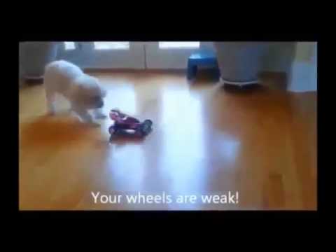 FunnyComp Comedy fail compilation+en komik  2014  videoları