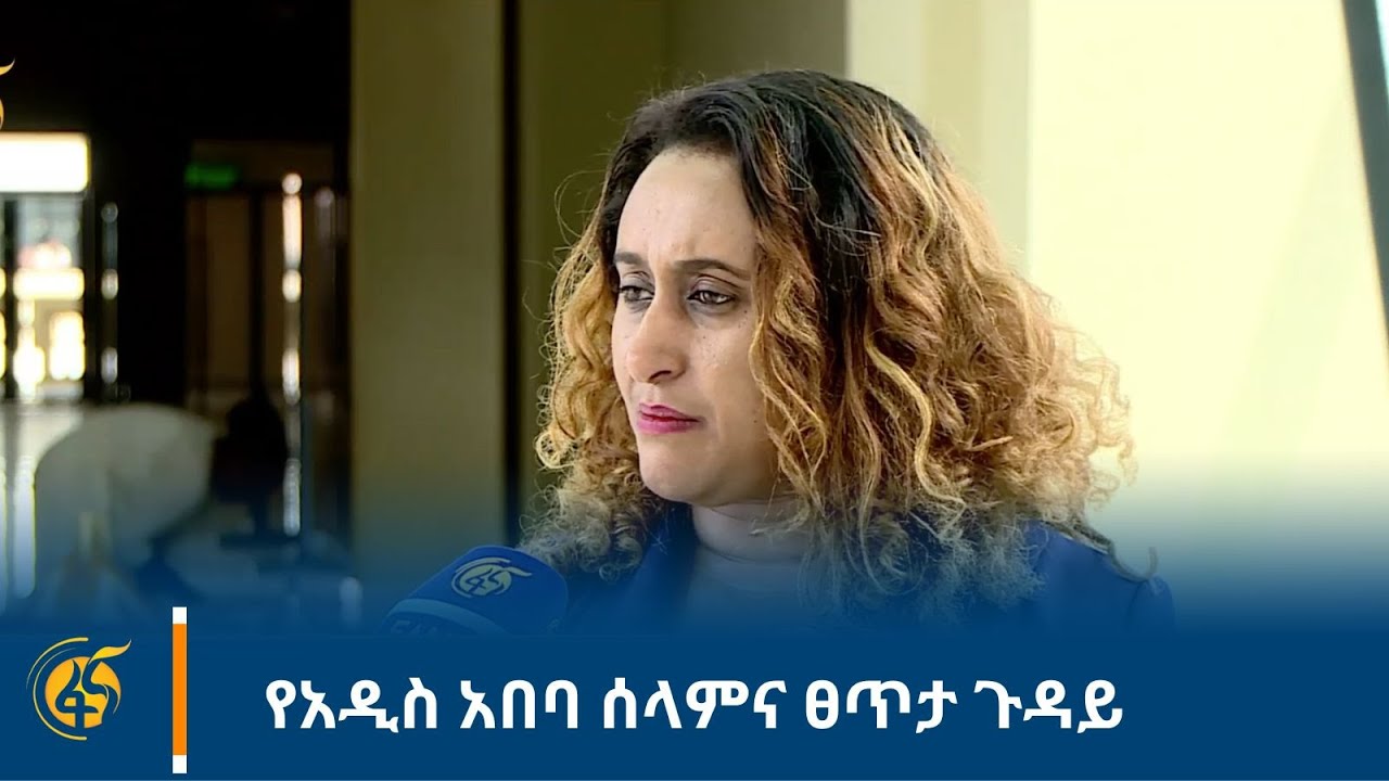 የአዲስ አበባ ሰላምና ፀጥታ ጉዳይ Youtube