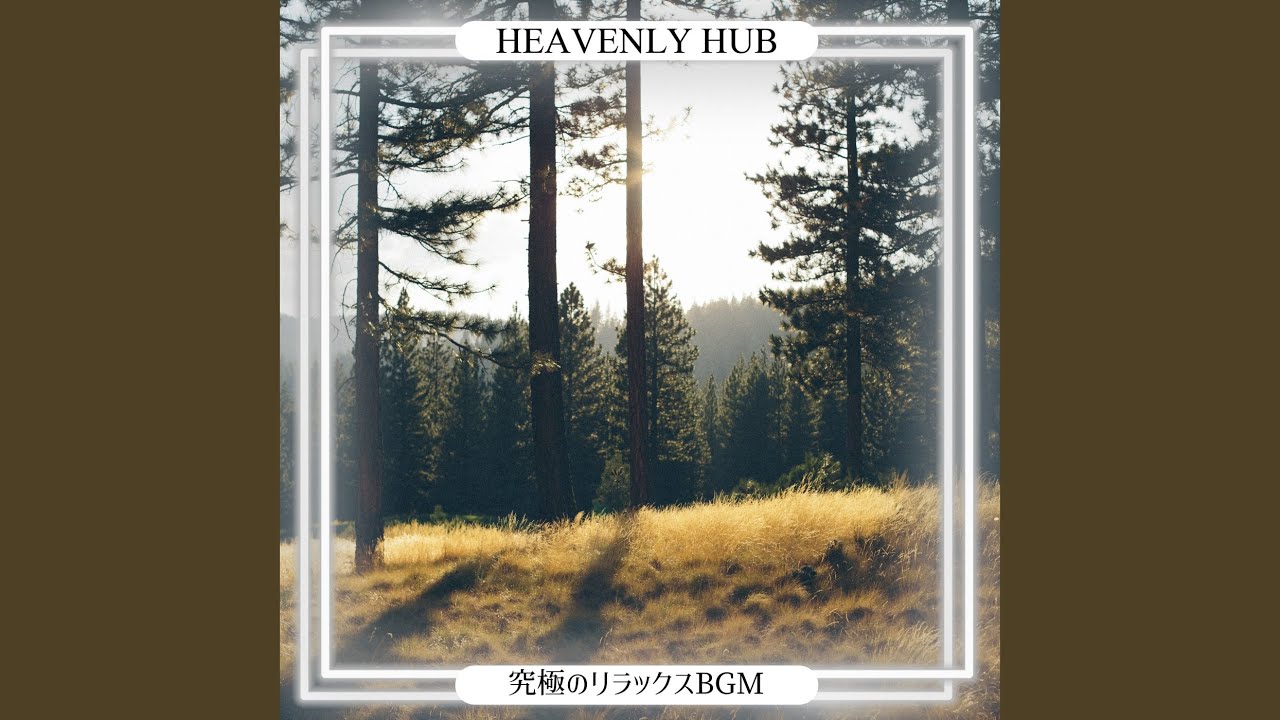 New Perceptions - YouTube