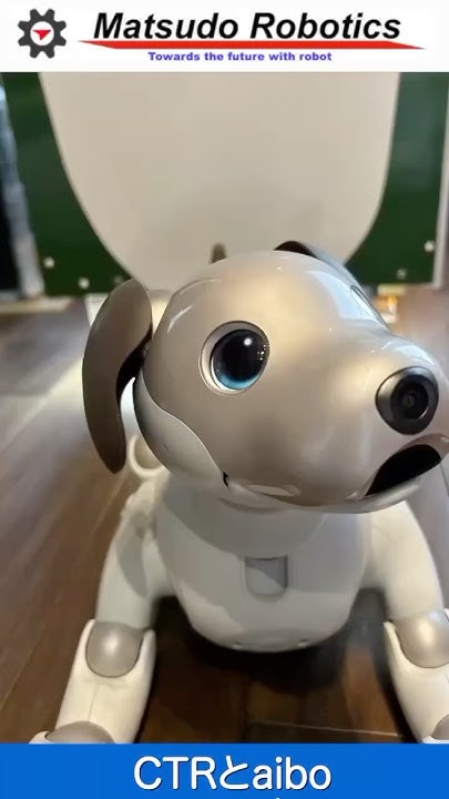 CTRとaibo初対面 - YouTube