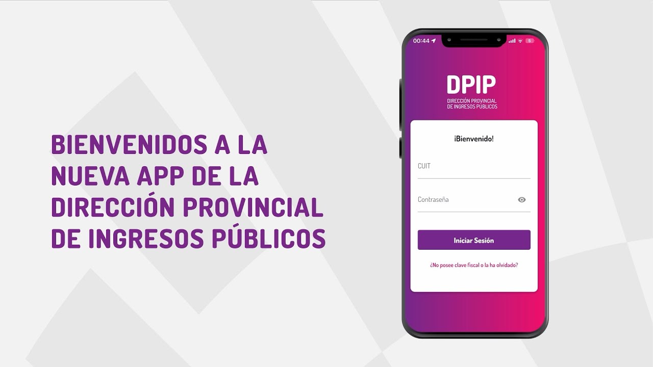 Instructivo DPIP APP - YouTube