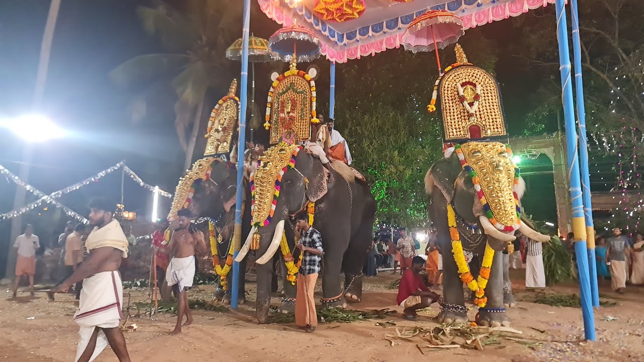 IRIMPANAM SNDP TEMPLE ULSAVAM |SHEEVELI 2 - YouTube