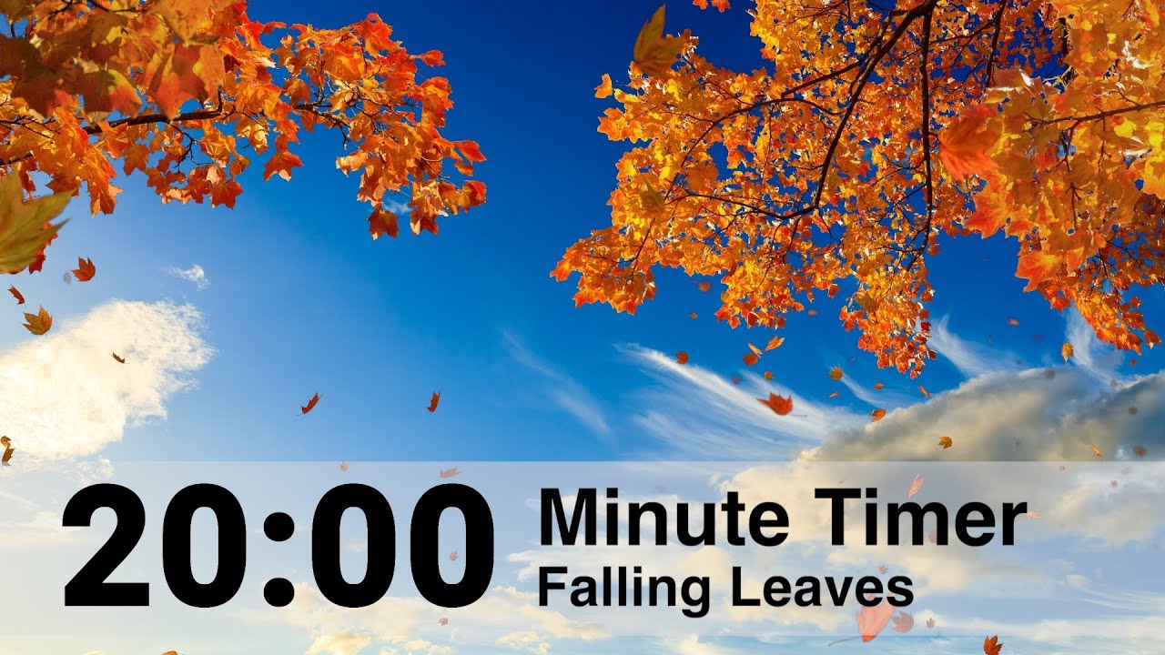 20 Minute Timer with Music for Classroom 🍁 Falling Autumn Leaves🍂 - YouTube