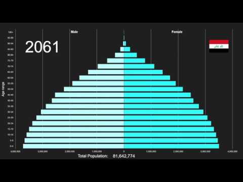 Iraq Population Pyramid 1950-2100 - YouTube
