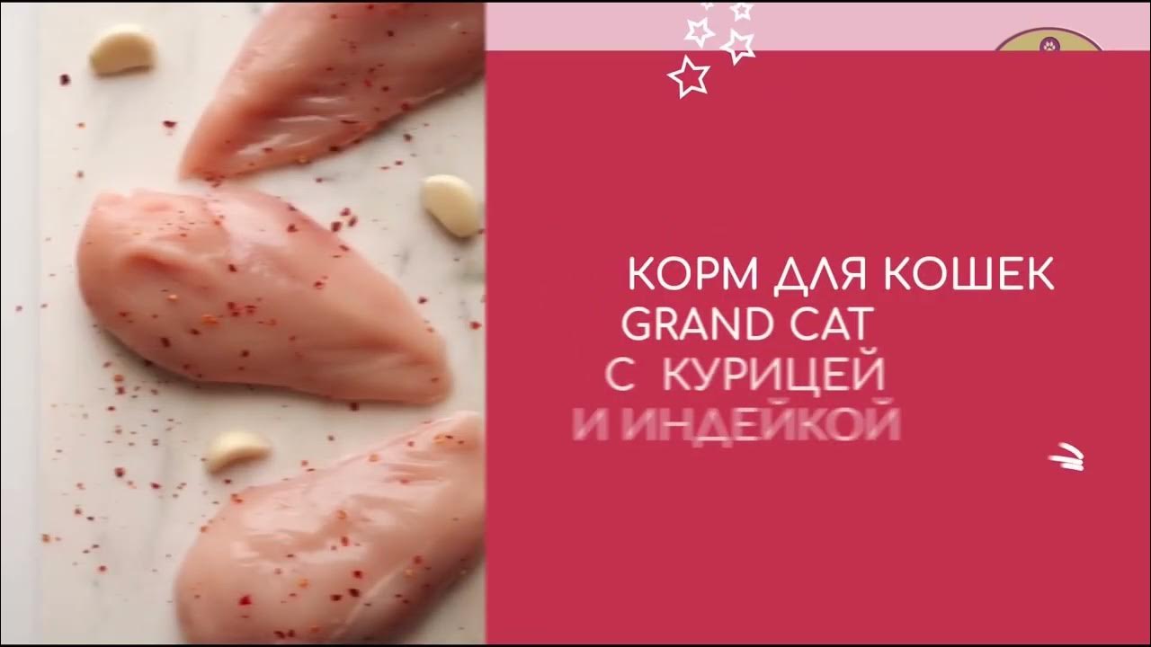 Сухой корм для кошек Grand Cat ( Гранддог) - YouTube