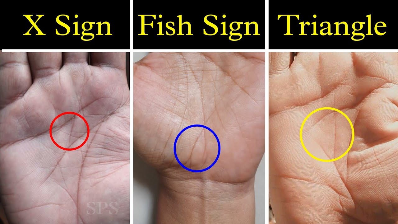 जाने कौनसा निशान ज्यादा फायदा देता है | Lucky signs in hand | Palm ...