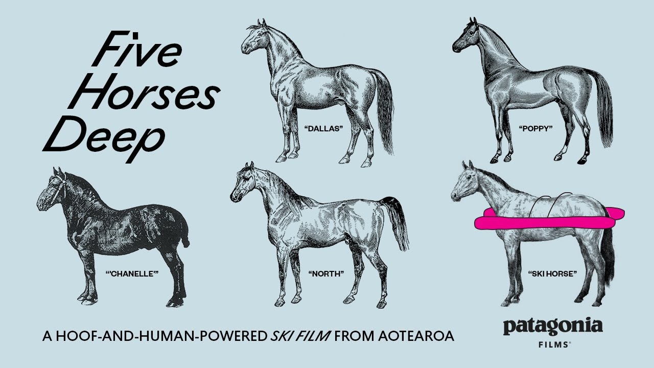 Five Horses Deep: A hoof-and-human-powered ski film from Aotearoa New ...
