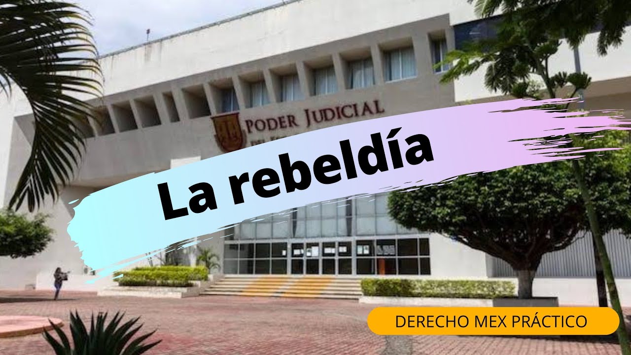 La rebeldía 😈 explicada en menos de 5 minutos💣 Clase en línea ⚖🦉⚖ ...