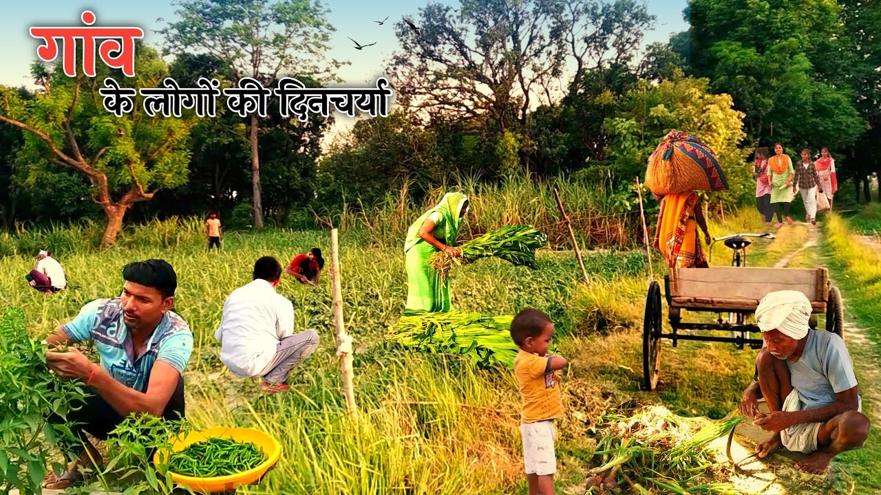 village farmer life in uttar pradesh || indian village life || rural ...