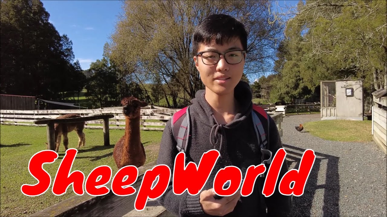 Sheep World, 新西兰旅游景点绵羊世界, One of New Zealand’s most popular attractions ...