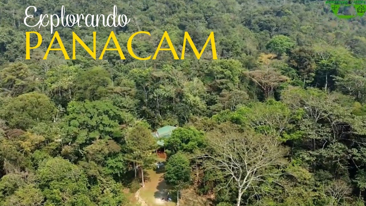 ¡Explorando PANACAM desde adentro! ⛰️🤠🍂 - YouTube