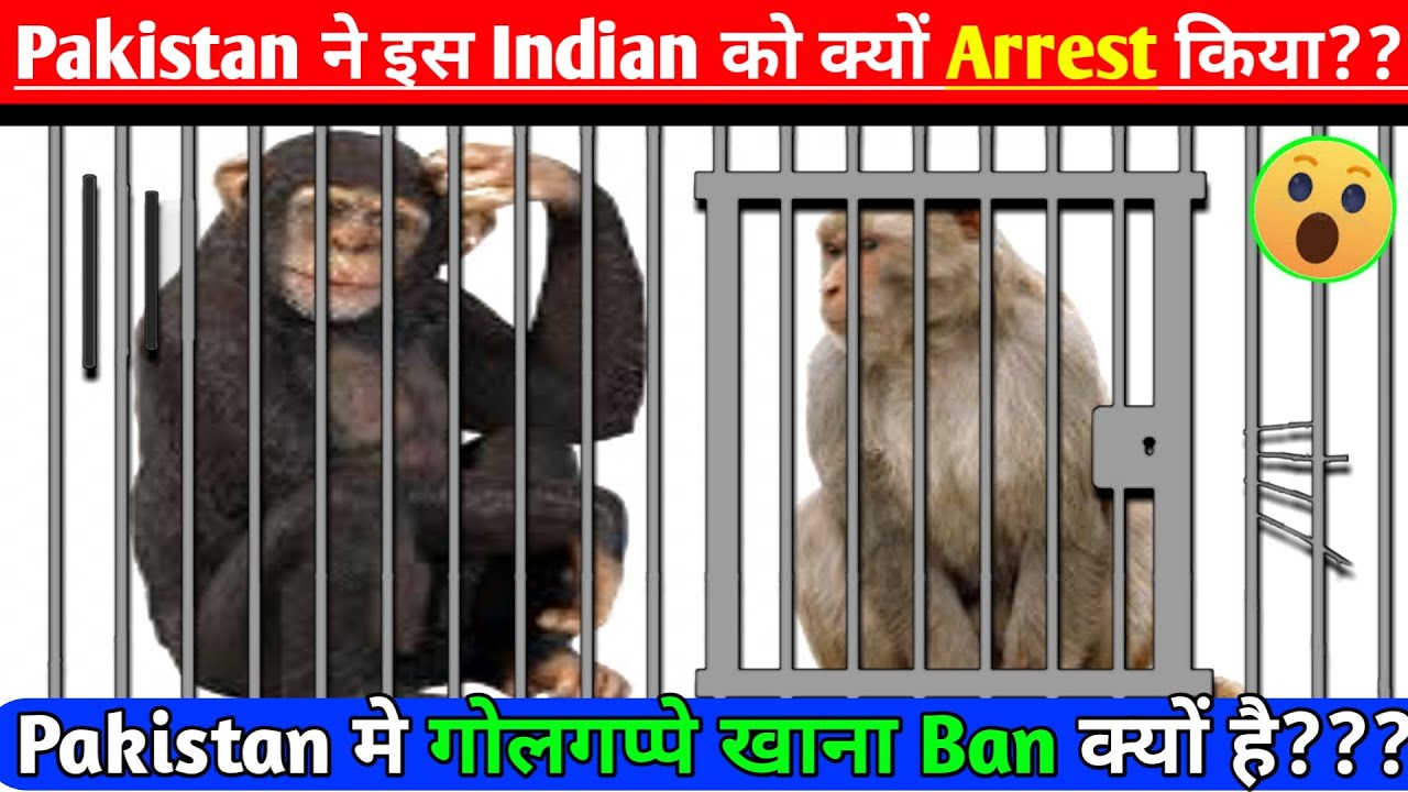 पाकिस्तान ने Indian monkey को क्यों arrest किया? | 10 Amazing Laws Of ...