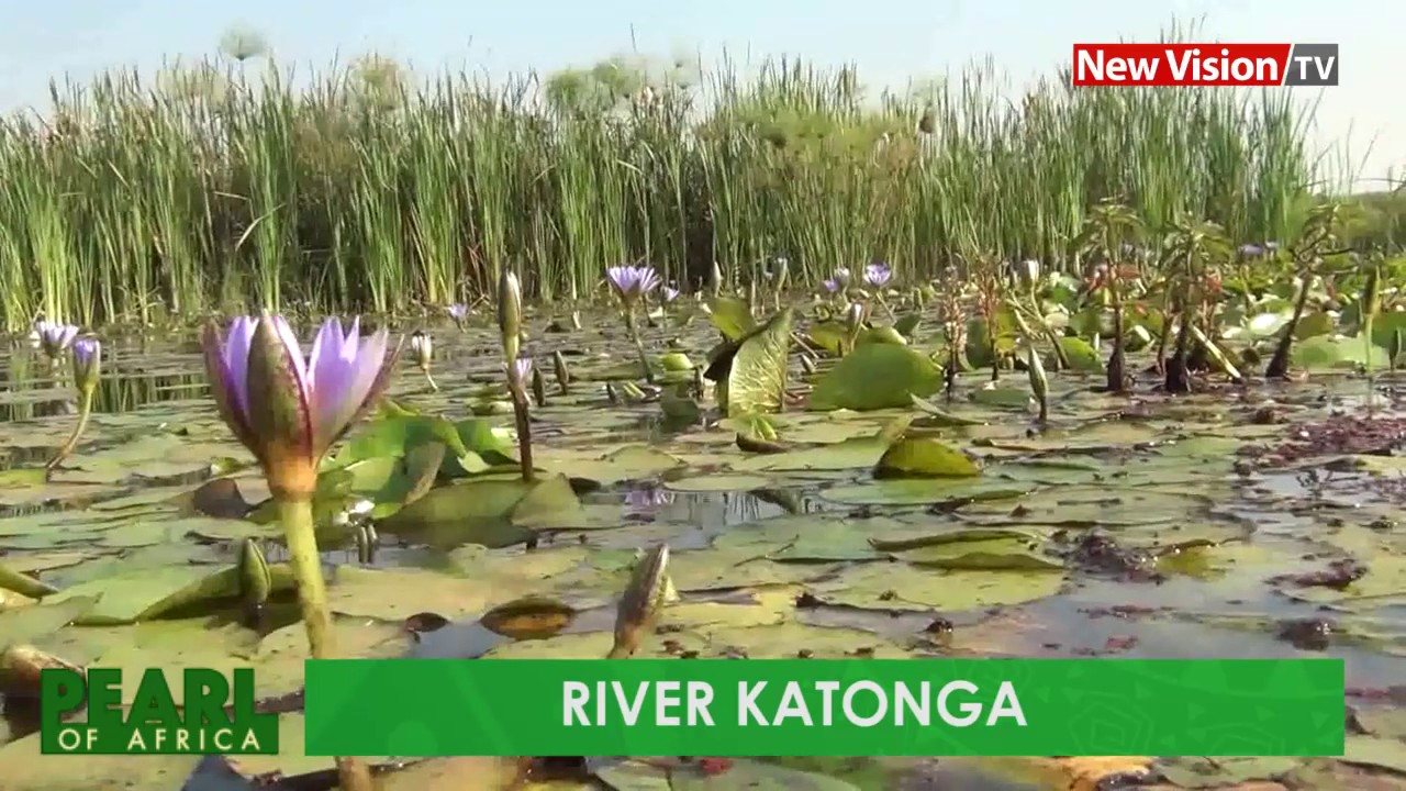 River Katonga: It changed direction over the years - YouTube