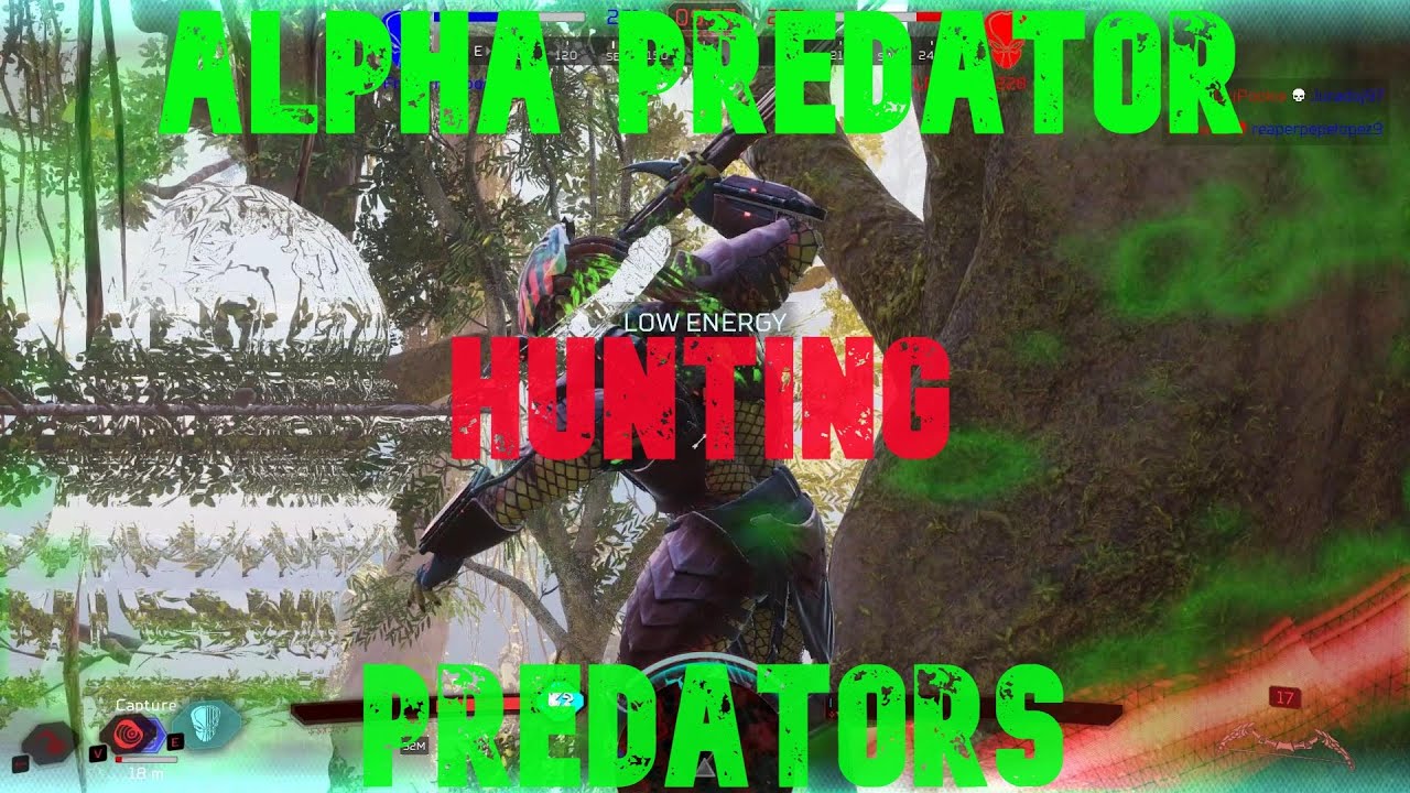 PREDATOR HUNTING GROUNDS ALPHA PREDATOR HUNTING PREDATORS - YouTube