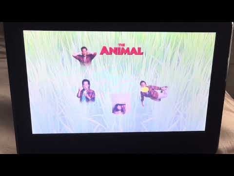 Opening to The Animal 2001 DVD - YouTube
