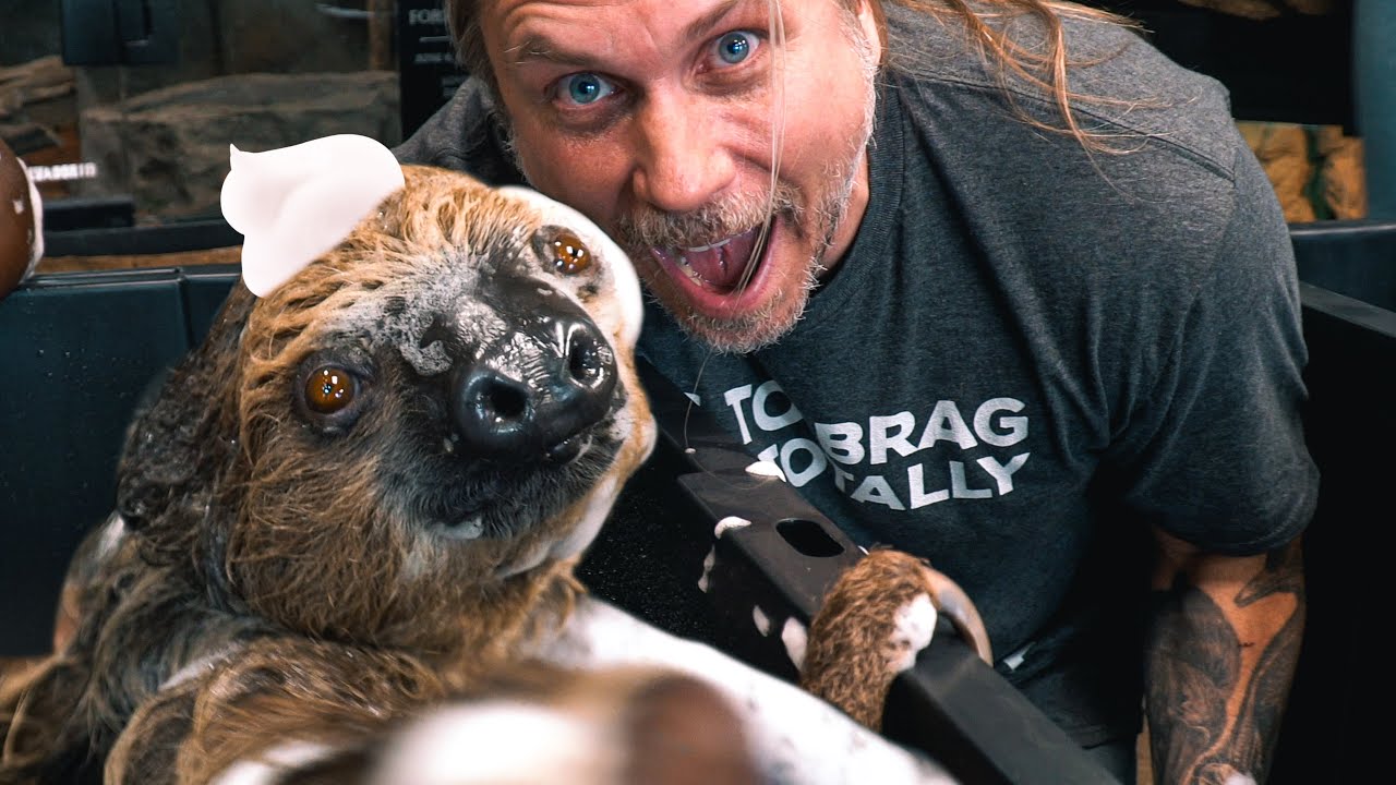 I GAVE MY SLOTH A BATH!!! | BRIAN BARCZYK - YouTube