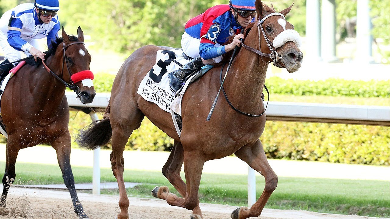 Horse Racing Global Live Stream - YouTube