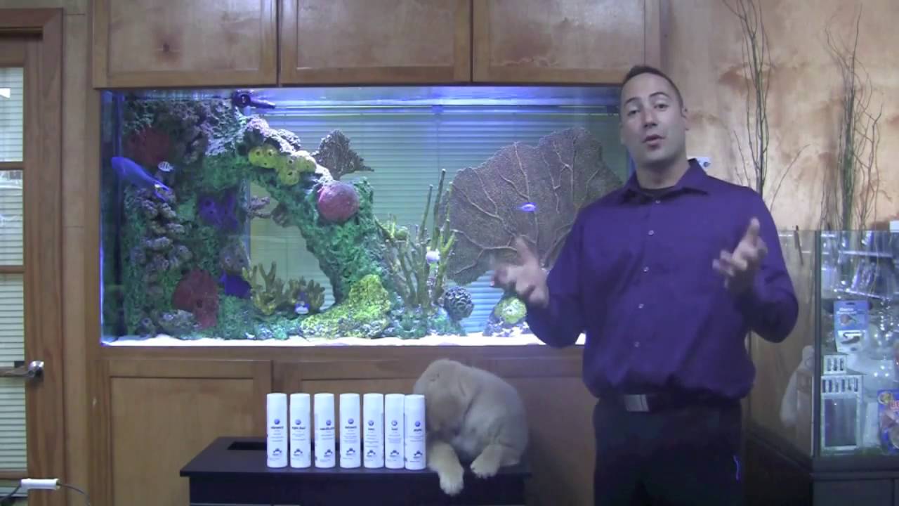 Fish Guy TV Monthly Raffles - YouTube