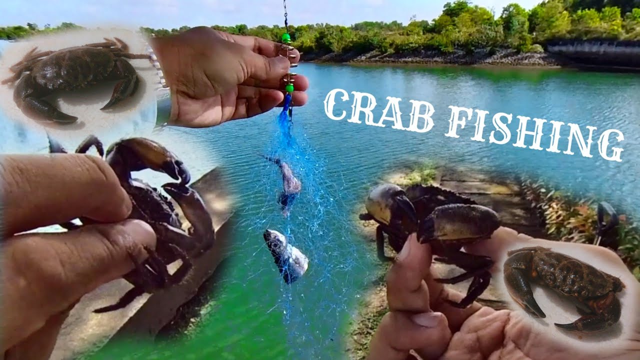 How to use the bomb net spring bait bottom fishing river trap in salt ...