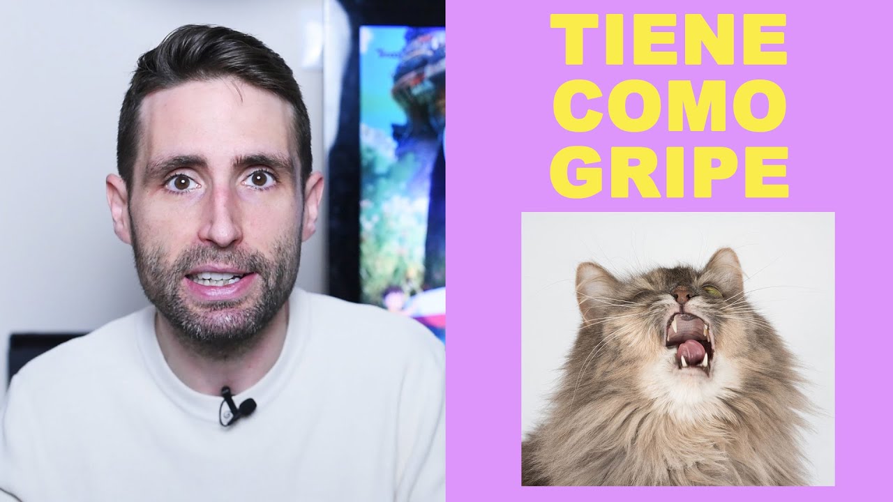 ¿Qué hago si mi gato está "como" con gripe? - YouTube