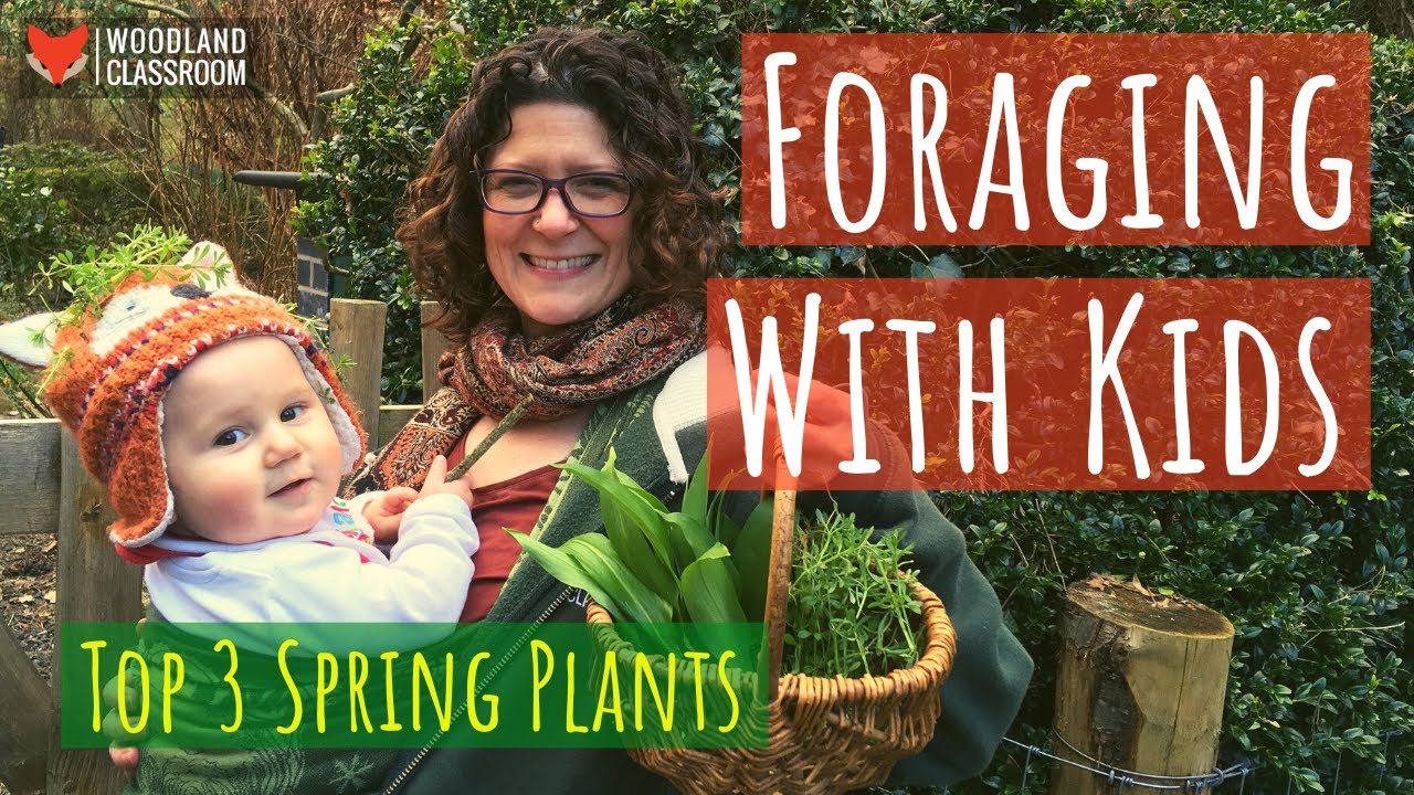 Foraging with Kids: Top 3 Spring Plants - YouTube