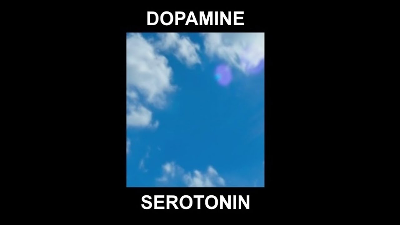 PORTER ROBINSON 2022 DJ SET INTRO (VISUAL REMAKE) - YouTube