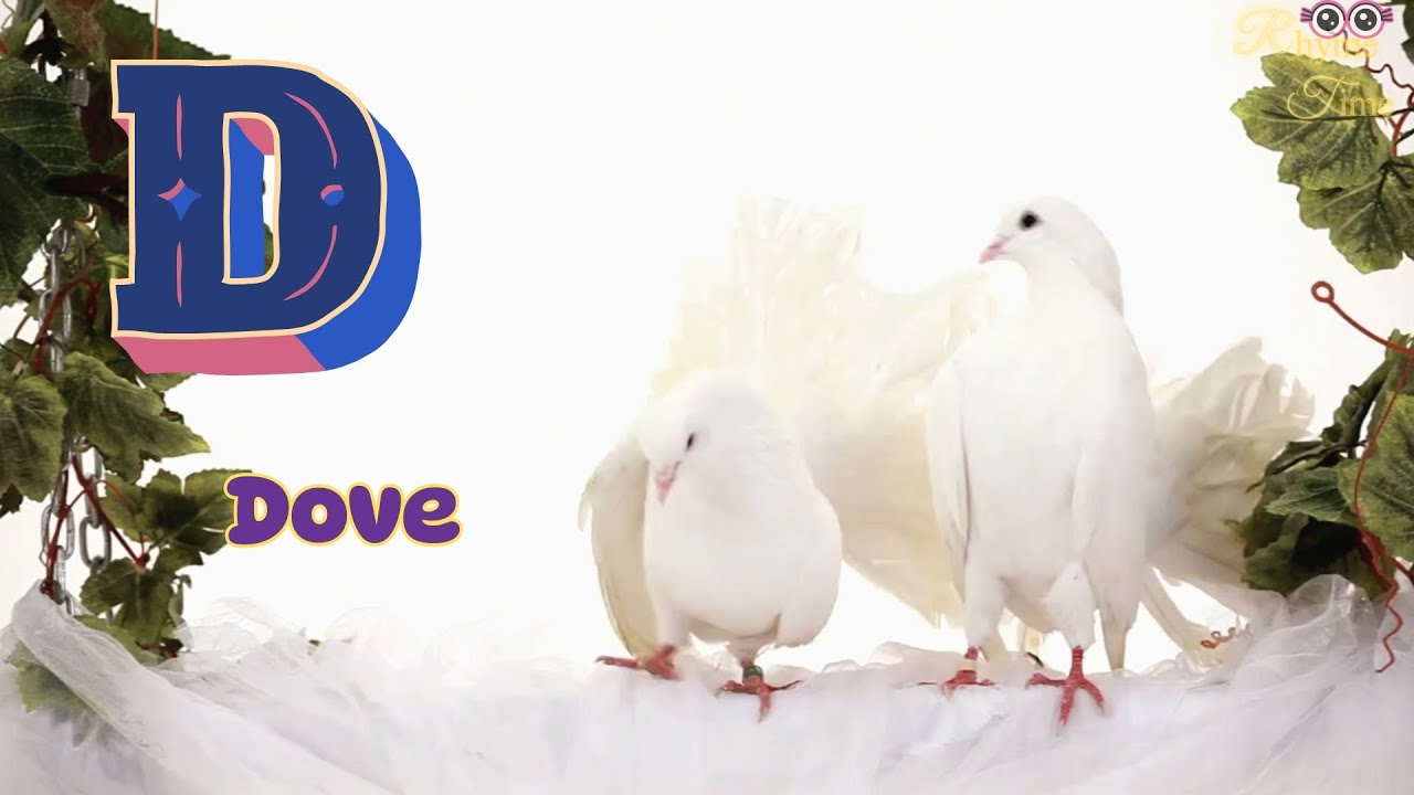 Alphabet D song + Learn Alphabets with animals + RhymeTime nursery ...