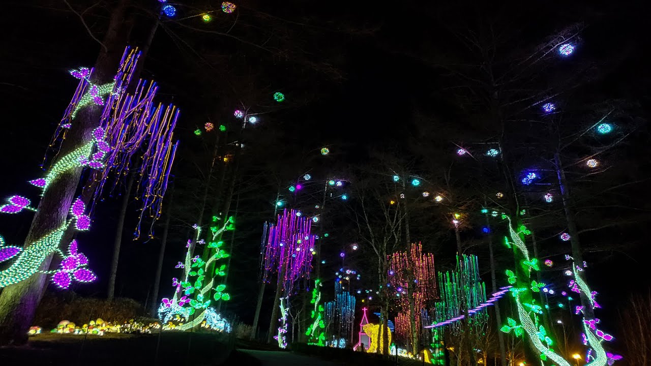 Garden of Morning Calm - Lighting Festival - YouTube