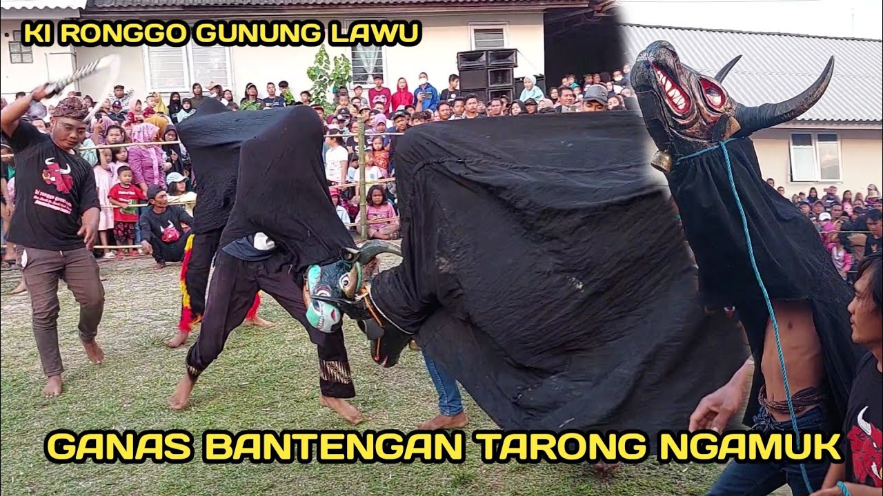 Bantengan Tarong ngamuk Ki Ronggo gunung Lawu live Pacet mojokerto ...