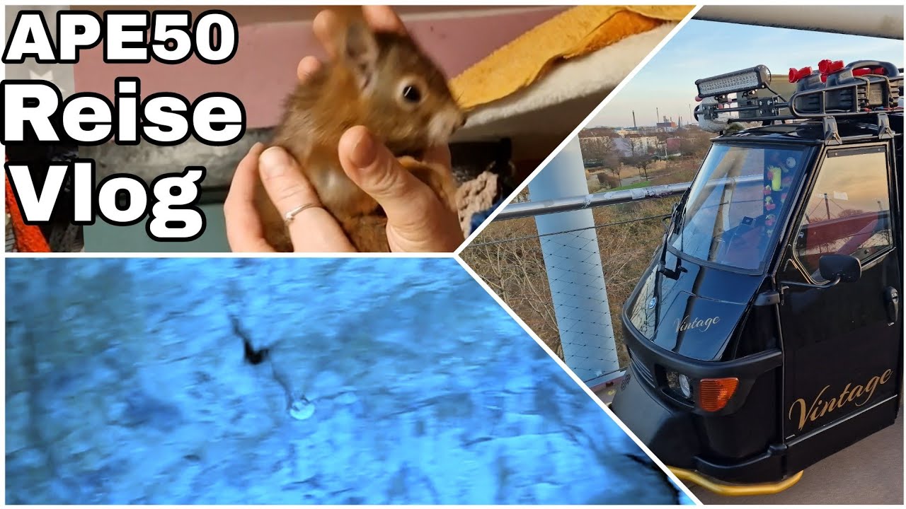 Ape 50 Abenteuer / Fledermaus angriff Nachts in Höhle / Eichhörnchen ...