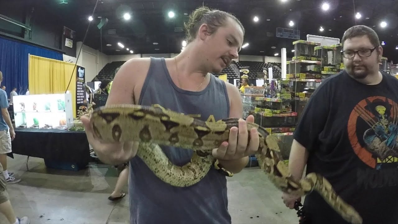 Repticon Sarasota || Repticon Reptile Show - YouTube