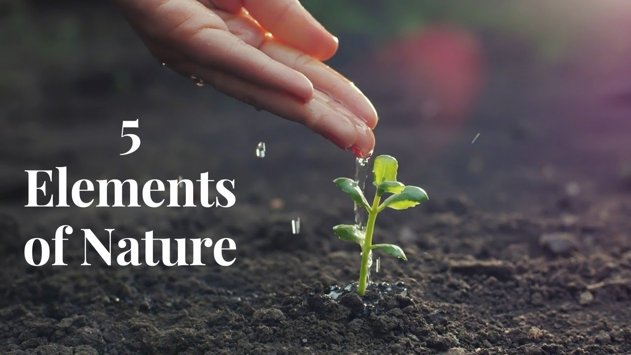 5 Elements Of Nature Sounds In 5 Minutes/The Five Elements Sounds Of ...