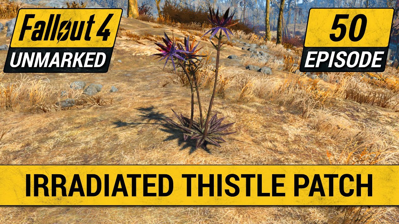 Irradiated Thistle Patch | Fallout 4 Unmarked | Ep. 50 - YouTube