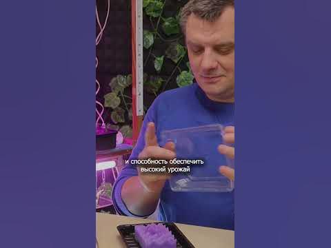 Семена всходят годами! Осторожно! - YouTube