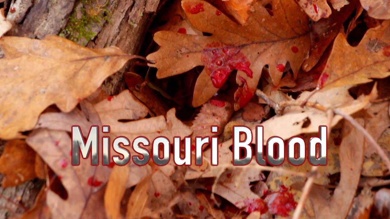 Missouri Blood | MISSOURI PUBLIC LAND | Behind the Bow - YouTube