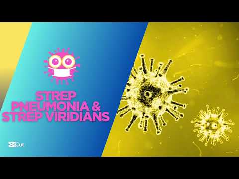 Strep pneumonia and strep viridians sketchy micro#viralvideo #microbiology #sketchy #easymedicine