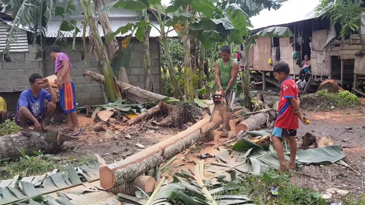 How to Make Coconut Lumber in the Philippines. - YouTube
