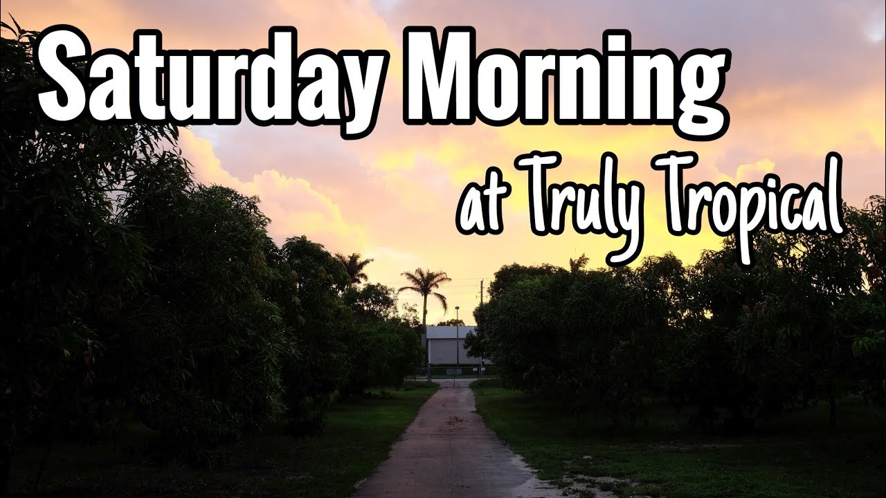 A Saturday Morning at Truly Tropical - YouTube