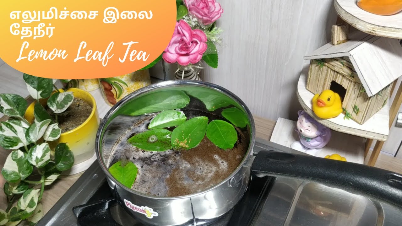 எலுமிச்சை இலை தேநீர் / Lemon Leaf Tea /Lemon Tea /How to make Lemon ...