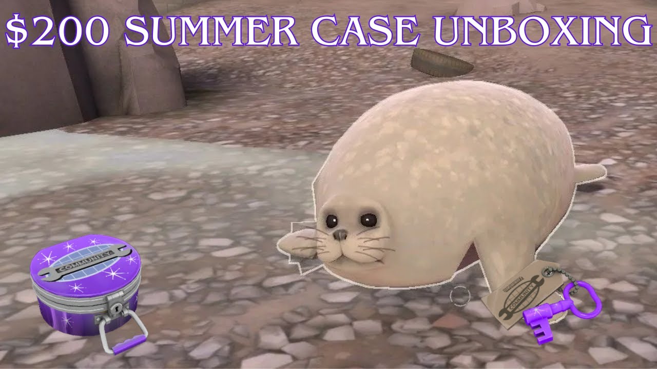 TF2 2023 Summer Cosmetics Case Opening: $200 Gone - YouTube