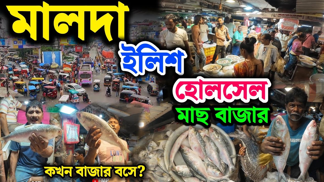 malda fish market | malda wholesale fish market | malda town fish ...