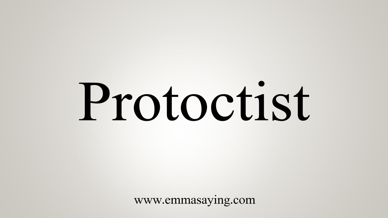 How To Say Protoctist - YouTube