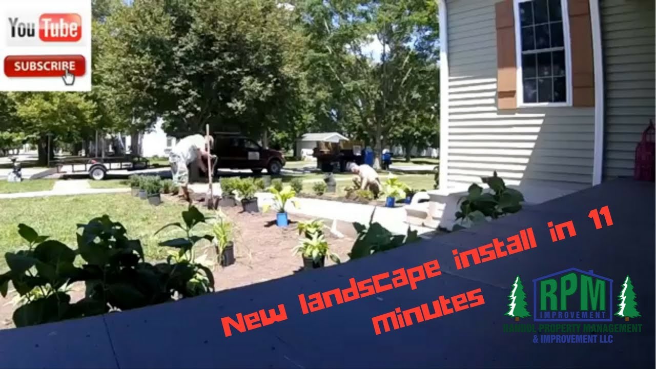 New Landscape Install in 11 Minutes - YouTube